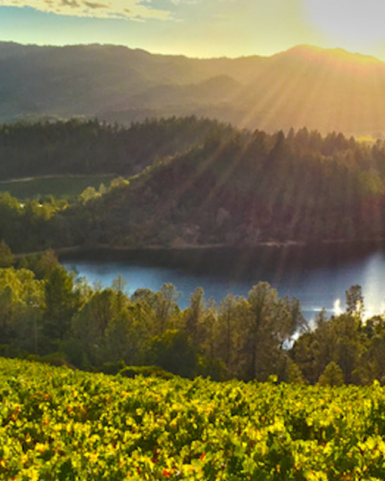 Explore Napa Valley’s Legendary Wineries | Napa Limo Wine Tours